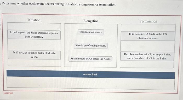 Solved Determine whether each event occurs during | Chegg.com