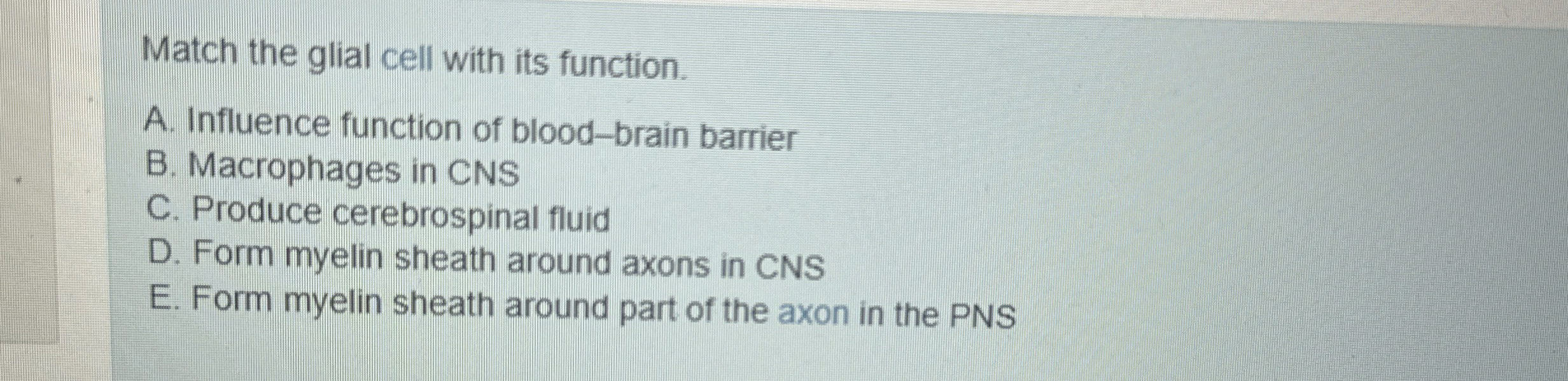 Solved Match the glial cell with its function.A. ﻿Influence | Chegg.com
