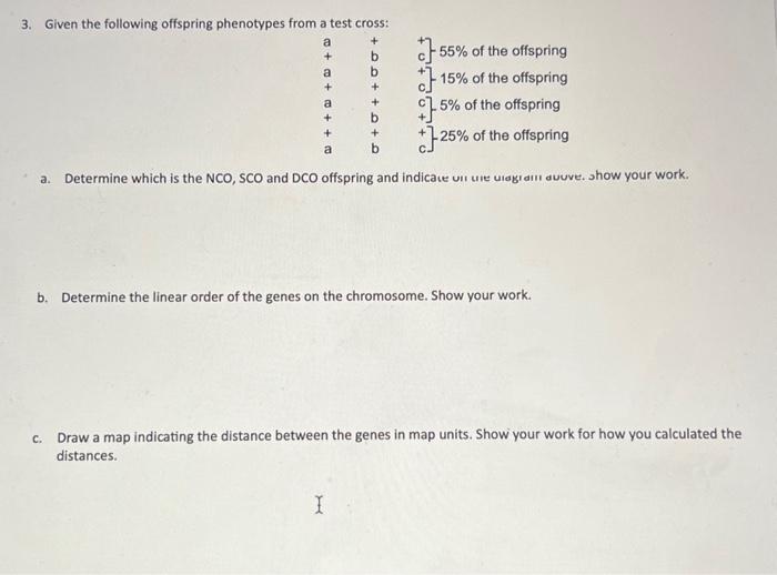 3. Given the following offspring phenotypes from a | Chegg.com