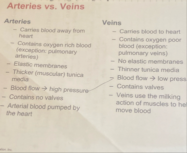 Solved Arteries vs. ﻿VeinsArteriesCarries blood away from | Chegg.com