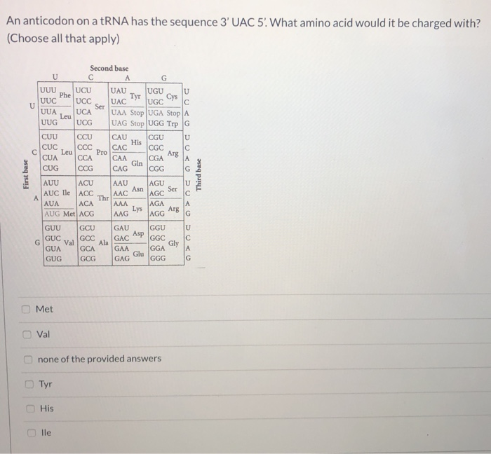 Solved An anticodon on a tRNA has the sequence 3'UAC 5! What | Chegg.com