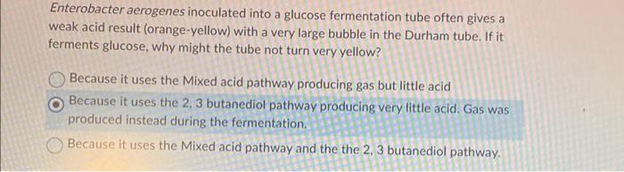 Solved Enterobacter aerogenes inoculated into a glucose | Chegg.com