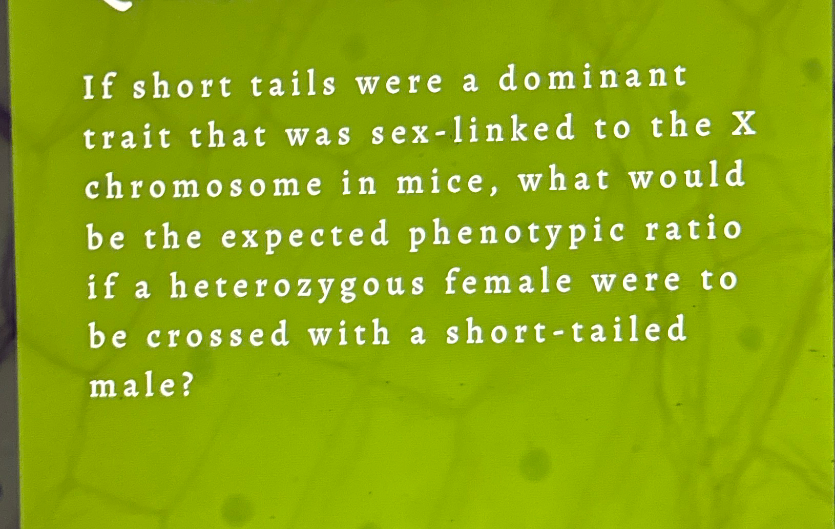 Solved If short tails were a dominant trait that was | Chegg.com