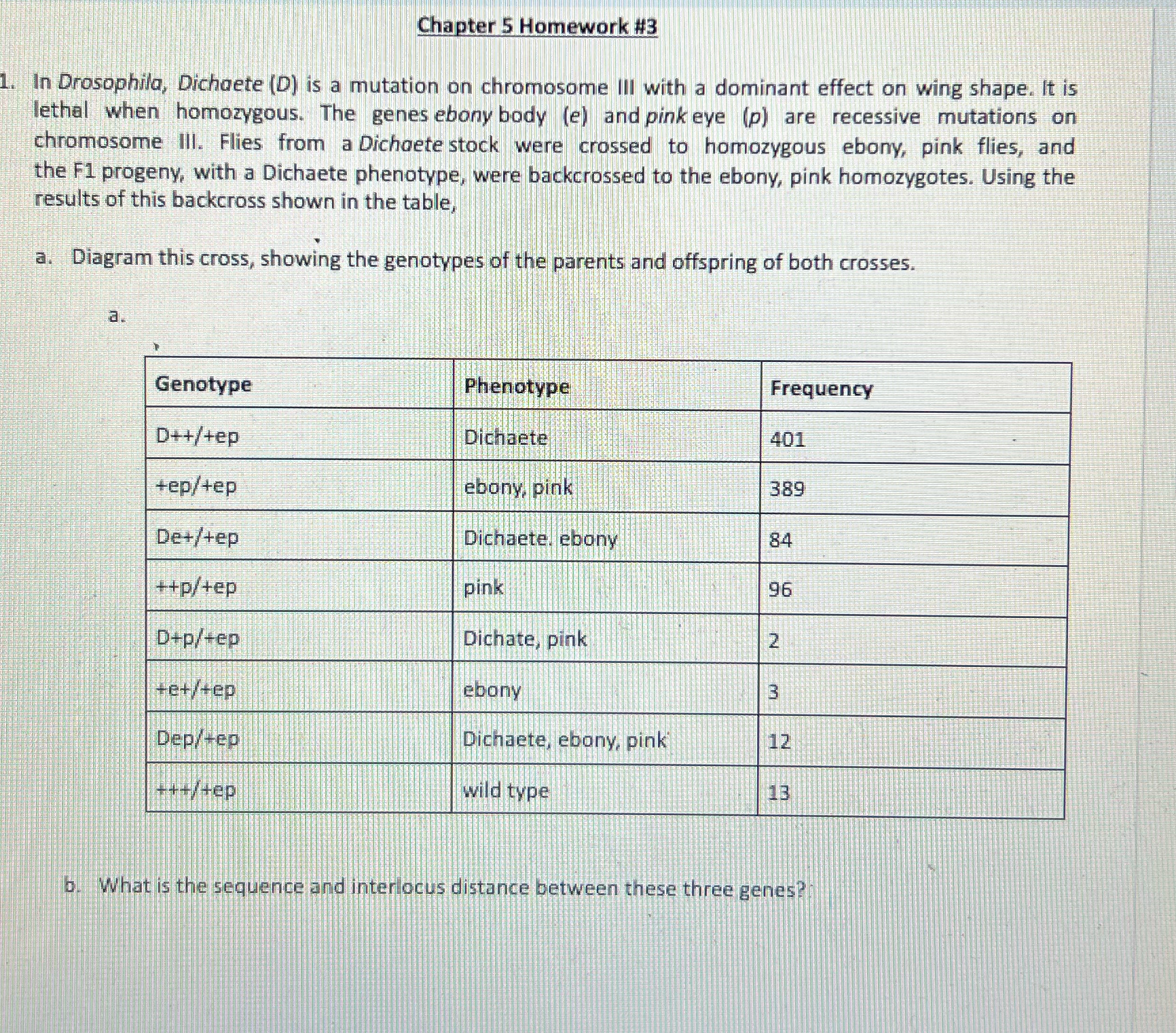 Solved Chapter 5 ﻿Homework #3In Drosophila, Dichaete (D) ﻿is | Chegg.com