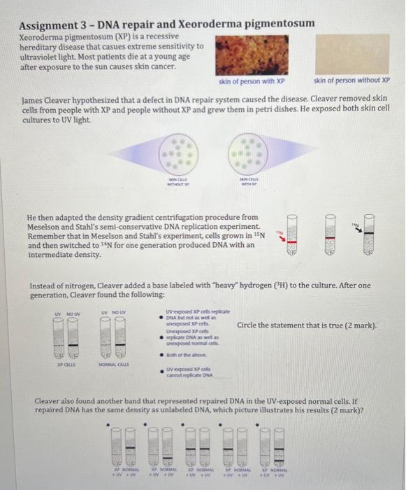 Solved skin of person with XP skin of person without XP | Chegg.com