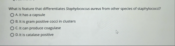 Solved What is feature that differentiates Staphylococcus | Chegg.com