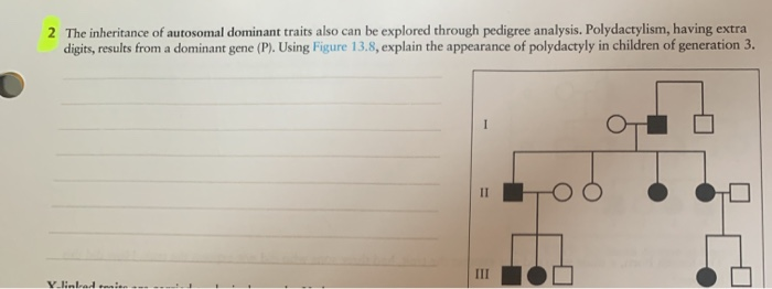 Solved 2 The inheritance of autosomal dominant traits also | Chegg.com