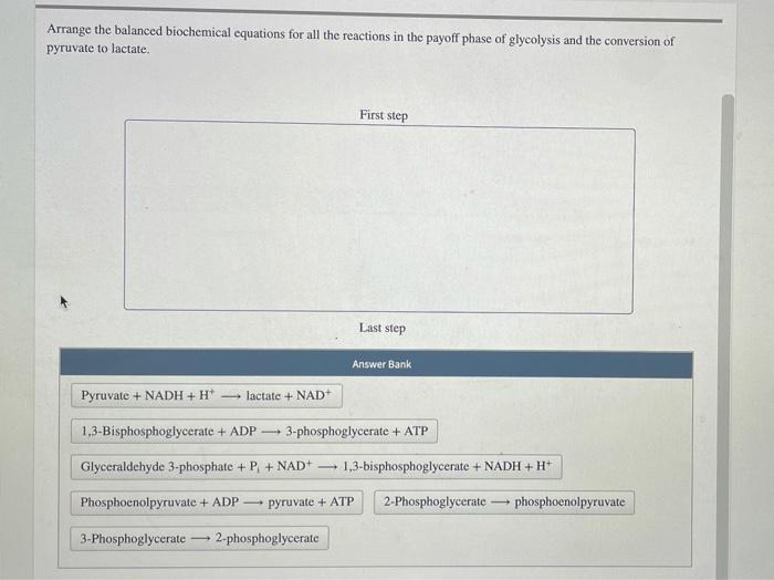 Solved Arrange the balanced biochemical equations for all | Chegg.com