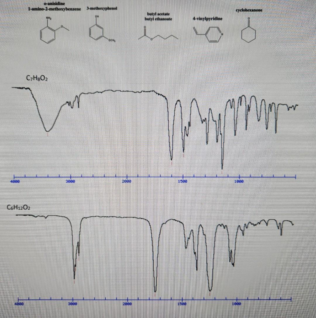 Solved o-anisidine 1-amino-2-methoxybenzene 3-methoxyphenol | Chegg.com