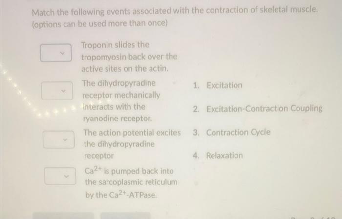 Solved Match the following events associated with the | Chegg.com