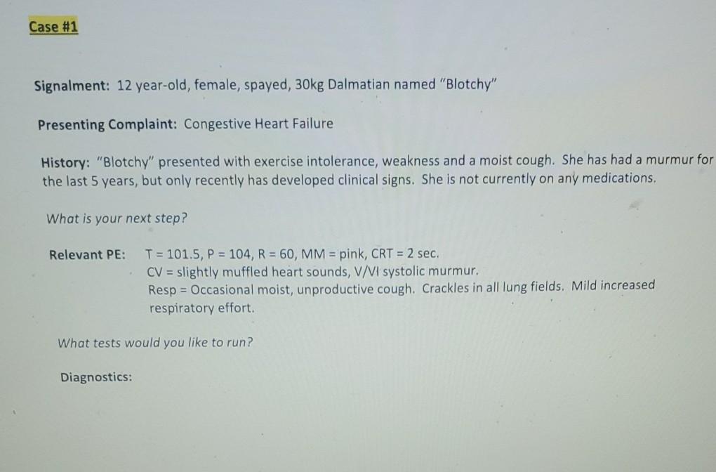 Solved Case #1 Signalment: 12 year-old, female, spayed, 30kg | Chegg.com