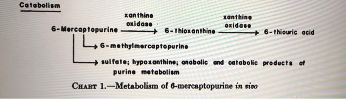 Solved Catabolism xanthine oxidase 6- Mercaptopurine | Chegg.com