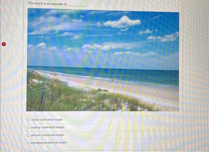Solved This beach is an example of active continental margin | Chegg.com