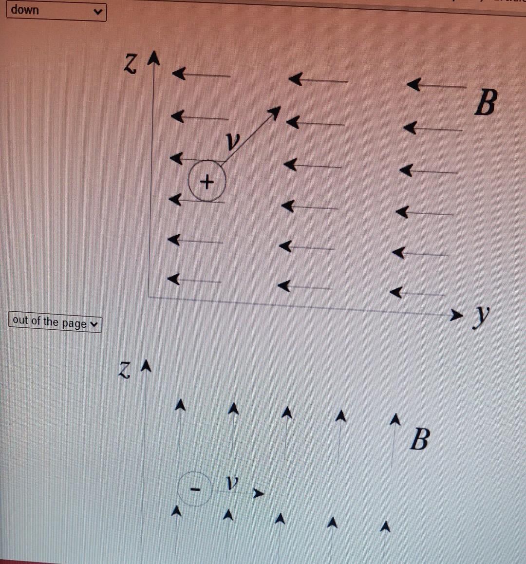Solved 2022 6 2 Timer Notes Evaluate Feedback Print Info 9691