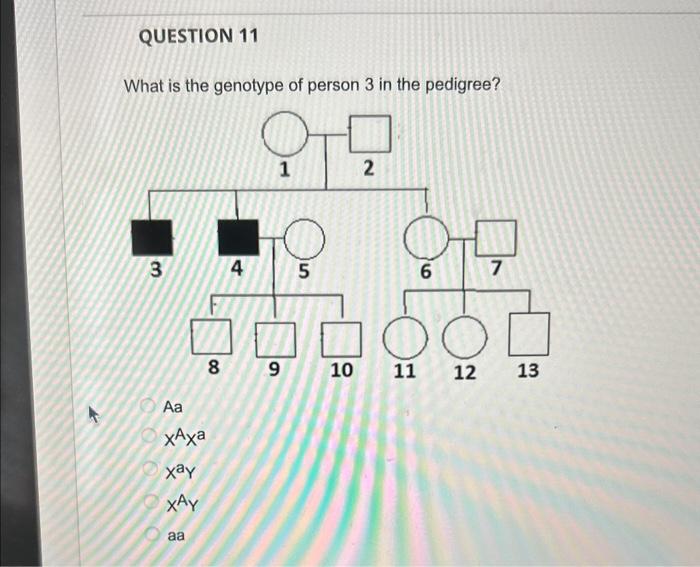 Solved What is the genotype of person 3 in the pedigree? Aa | Chegg.com
