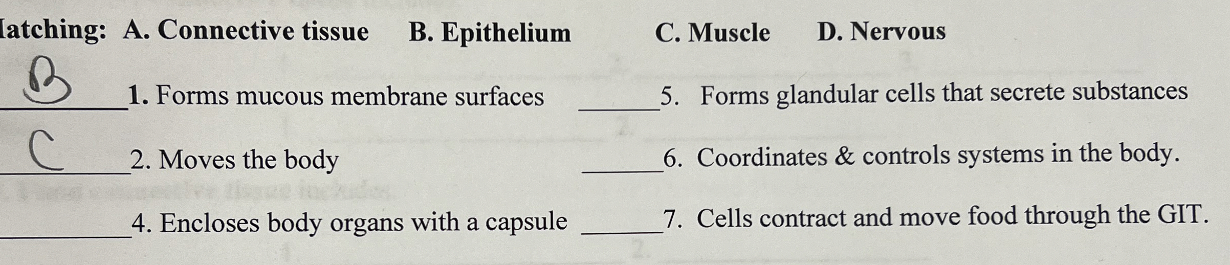 [Solved]: latching: A. Connective tissue B. Epithelium C. Mu