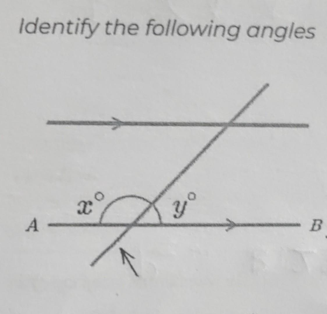 Solved Identify the following angles | Chegg.com