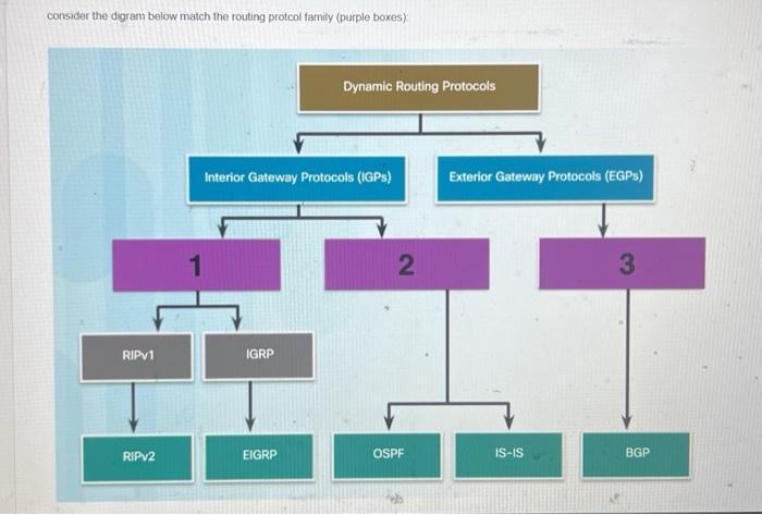 Solved consider the digram below match the routing protcol | Chegg.com