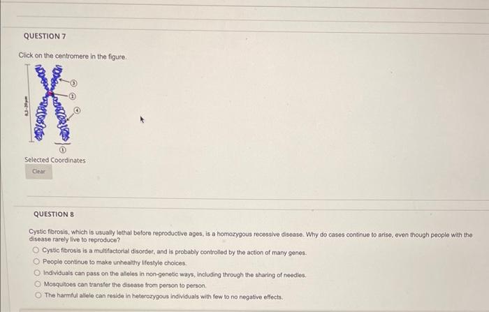Solved Click on the centromere in the figure. Selected | Chegg.com