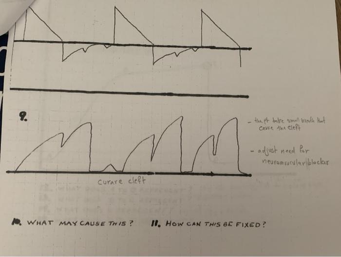 Solved theft take small breath that Cause the cleft innn | Chegg.com