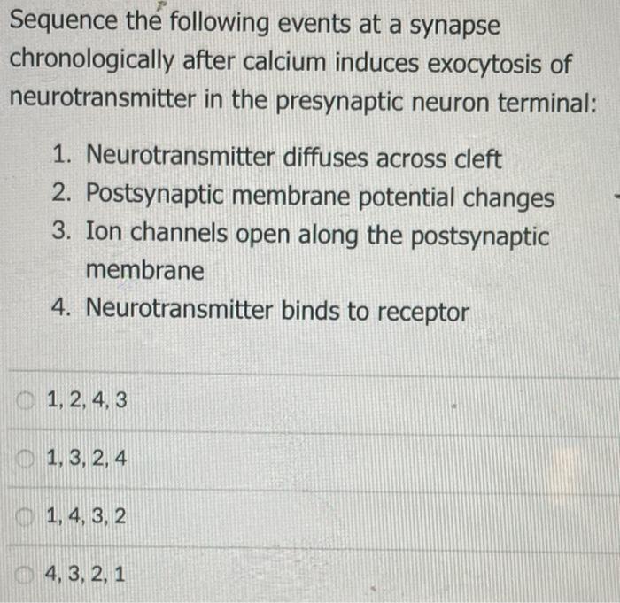 Solved Sequence the following events at a synapse | Chegg.com