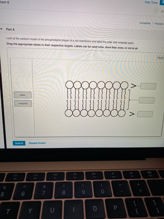Solved tem 6 Hide Timer 6 Constants Periodic Part A Look at | Chegg.com