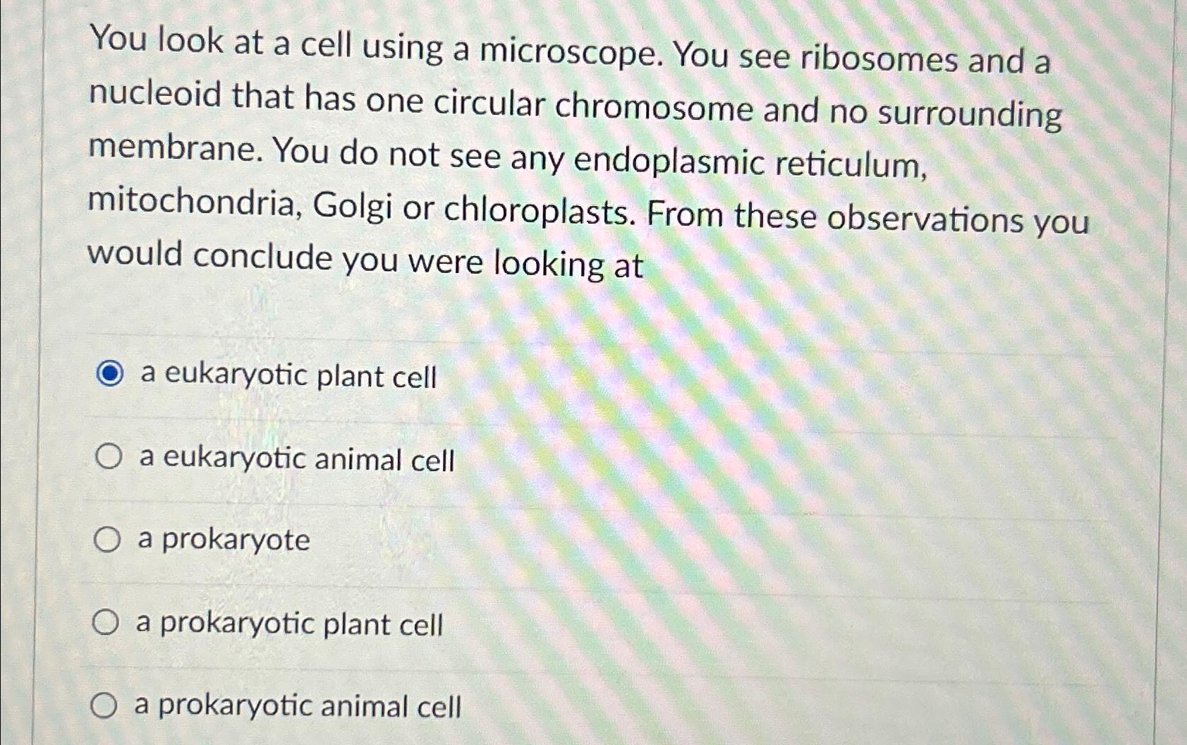 Solved You look at a cell using a microscope. You see | Chegg.com