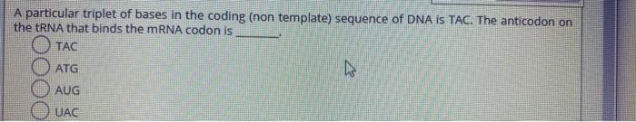 Solved A particular triplet of bases in the coding (non | Chegg.com