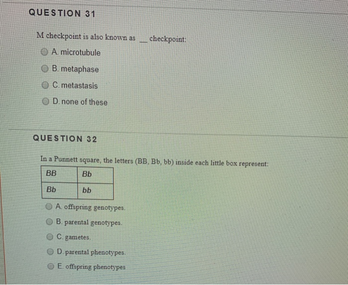Solved QUESTION 31 checkpoint: M checkpoint is also known as | Chegg.com