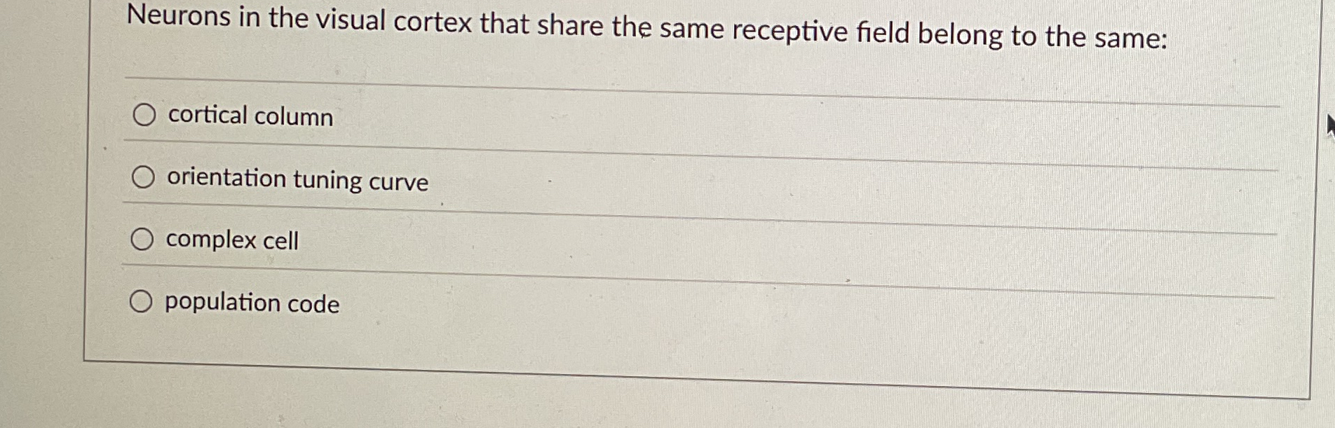 Solved Neurons in the visual cortex that share the same | Chegg.com