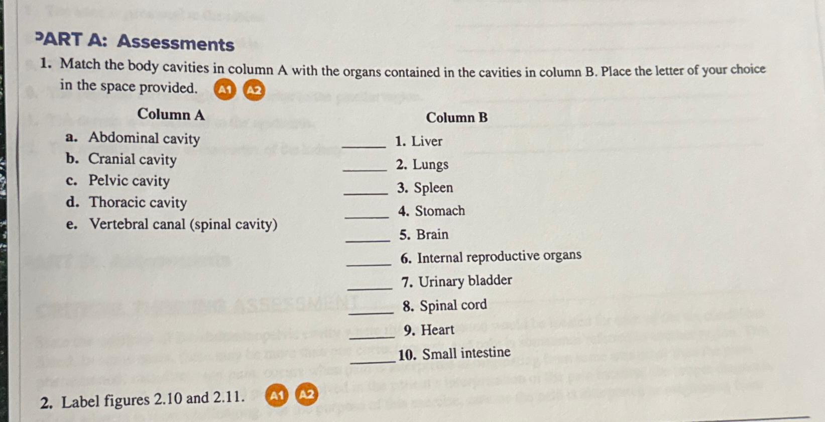 Solved TART A: AssessmentsMatch the body cavities in column | Chegg.com