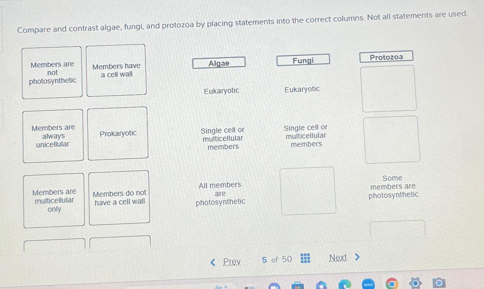 Solved Compare and contrast algae, fungi, and protozoa by | Chegg.com