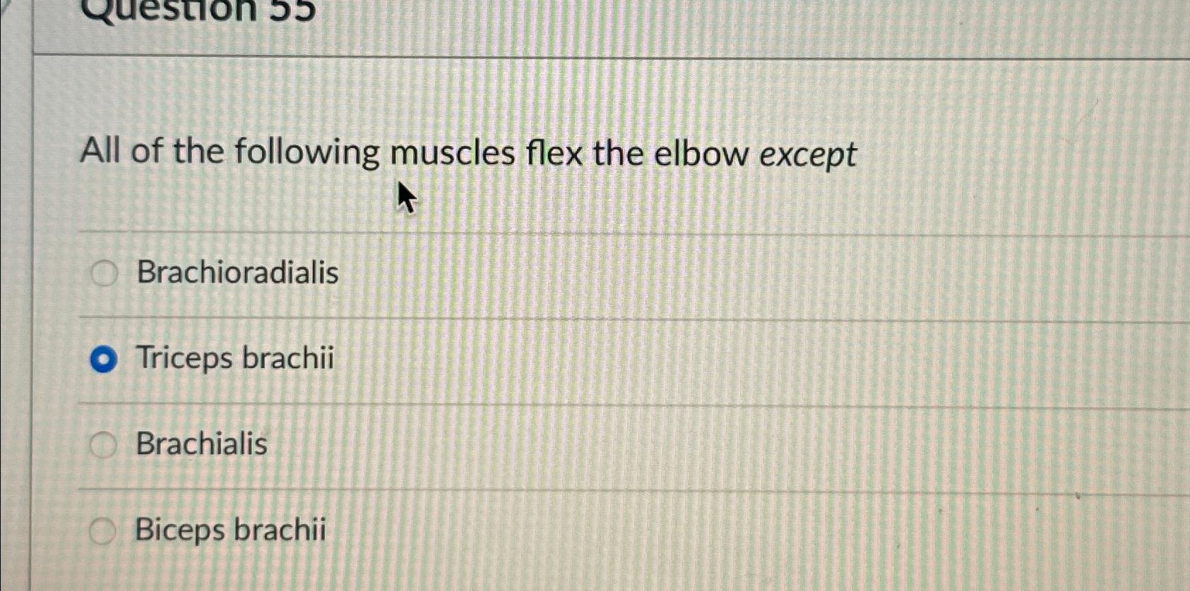 Solved All of the following muscles flex the elbow | Chegg.com