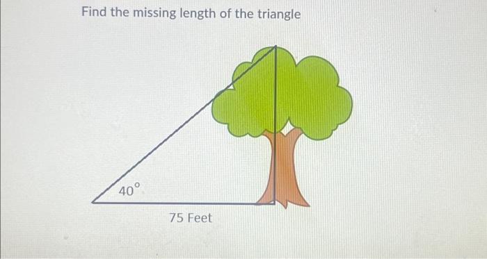 Solved Find the missing length of the triangle | Chegg.com