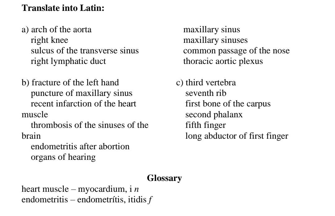 Translate into Latin: a) arch of the aorta right knee | Chegg.com