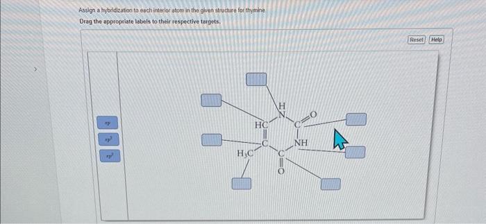 Solved Assign a hybridlzation to each interior atom in the | Chegg.com