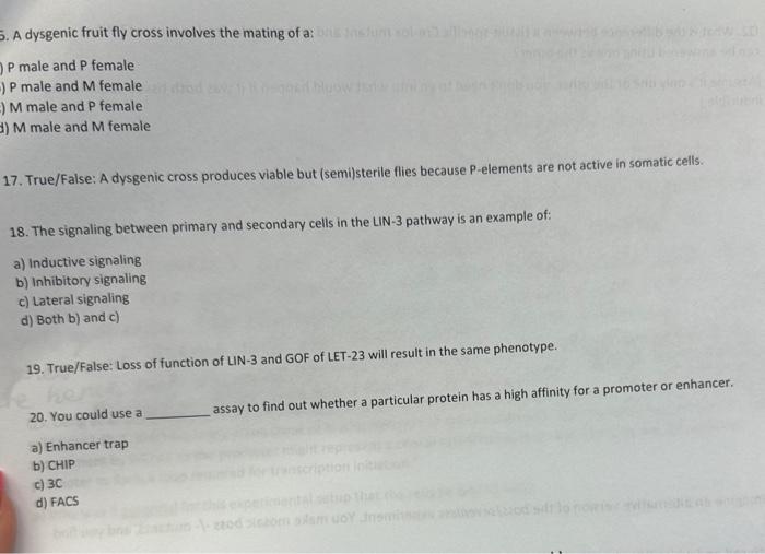 Solved 5. A dysgenic fruit fly cross involves the mating of | Chegg.com