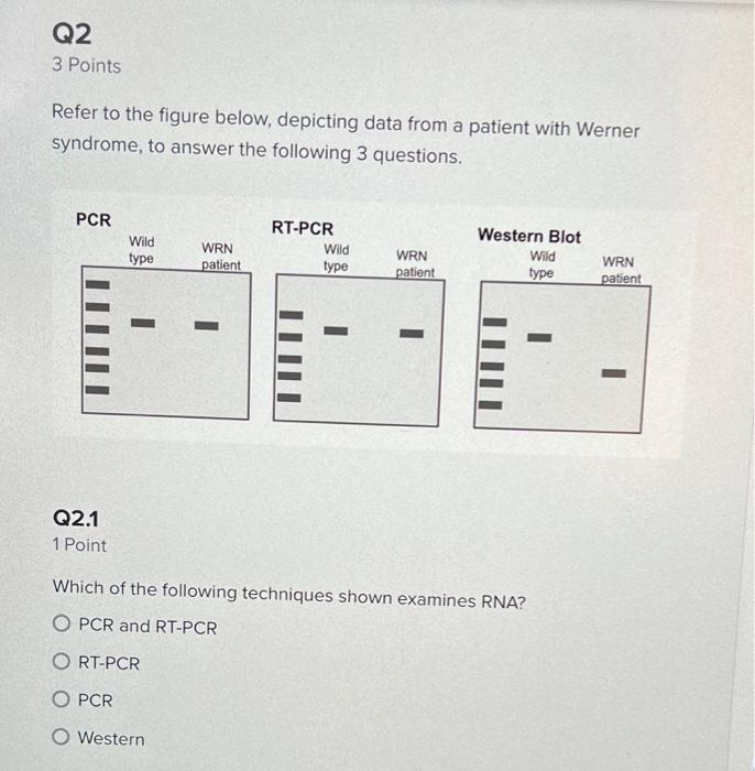 Solved Q2 3 Points Refer to the figure below, depicting data | Chegg.com