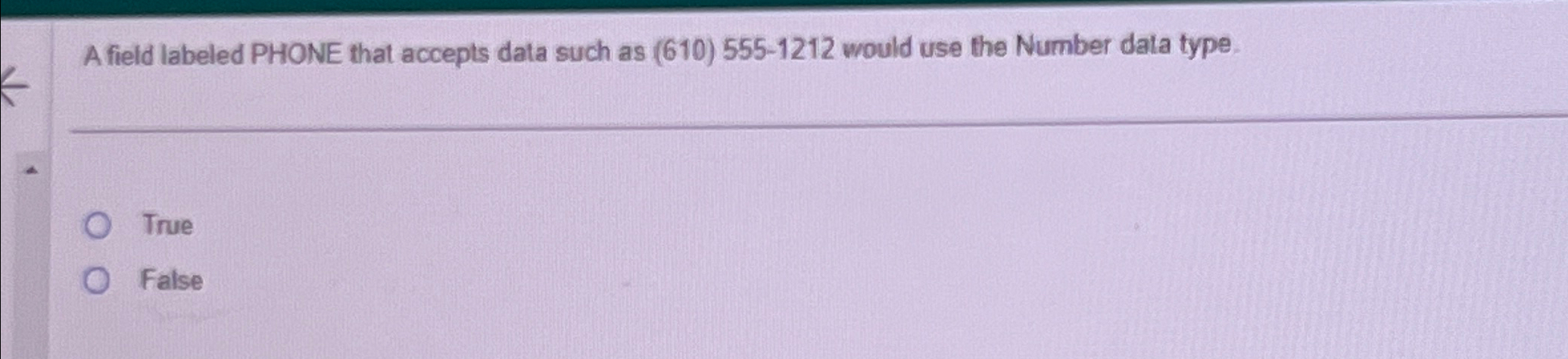 Solved A field labeled PHONE that accepts data such as | Chegg.com