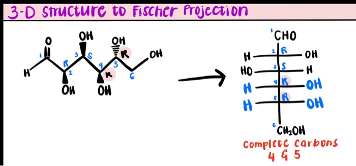 Solved 3D structure to fischer projection: did I label R and | Chegg.com