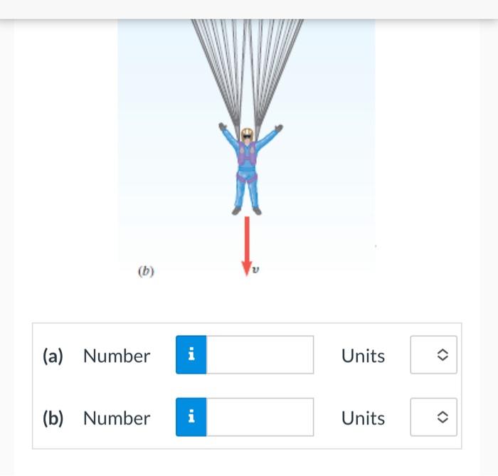 Solved A skydiver is falling straight down, along the | Chegg.com