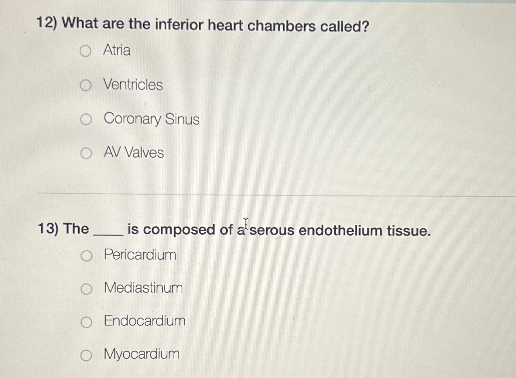 Solved What are the inferior heart chambers | Chegg.com