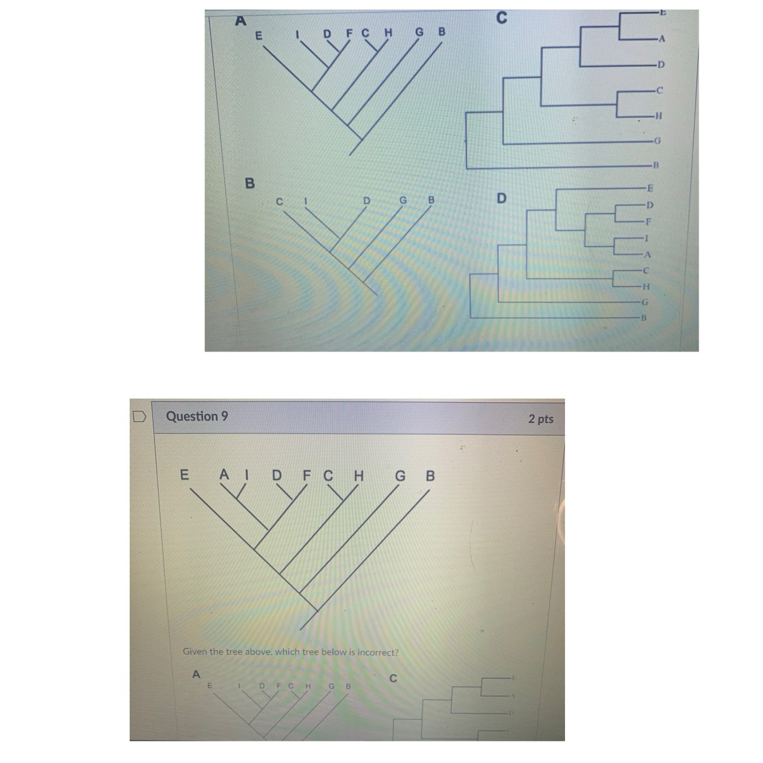 Solved Question 92 ﻿ptsGiven the tree above, which tree | Chegg.com