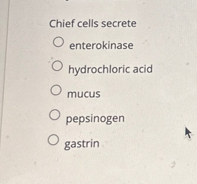 Solved Chief cells secreteenterokinasehydrochloric | Chegg.com