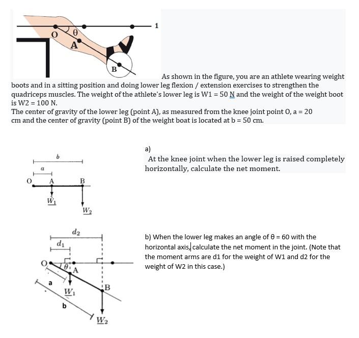 Solved 0 А B As shown in the figure, you are an athlete | Chegg.com