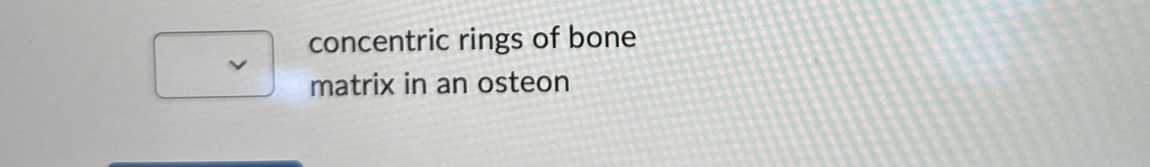 Solved ﻿concentric rings of bone matrix in an osteon | Chegg.com