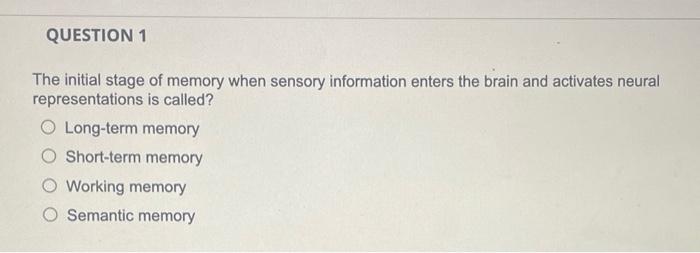 Solved The initial stage of memory when sensory information | Chegg.com