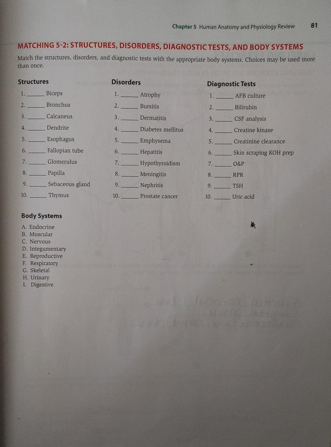 Solved Chapter 5 Human Anatomy and Physiology Review 81 | Chegg.com