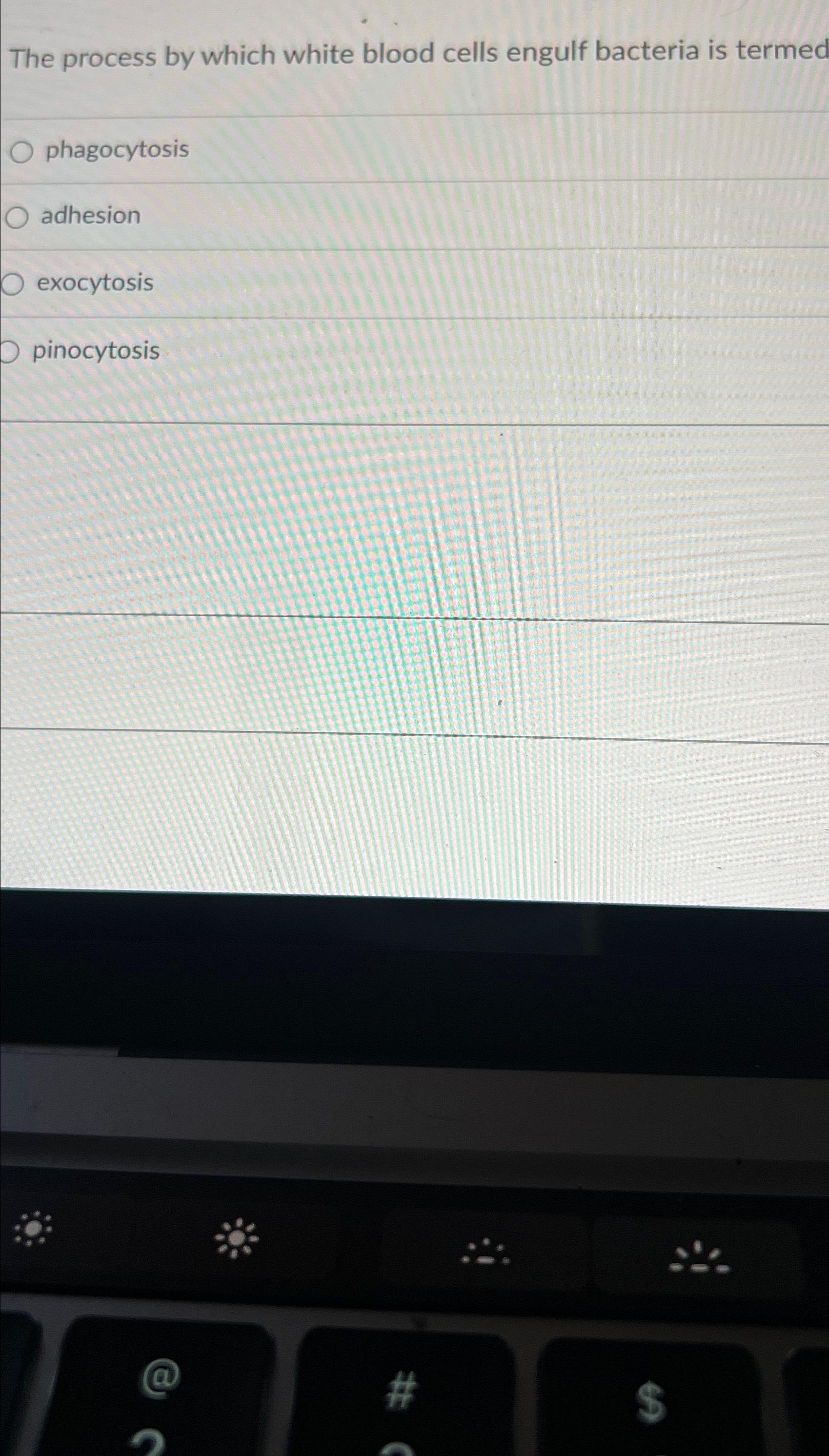 Solved The process by which white blood cells engulf | Chegg.com