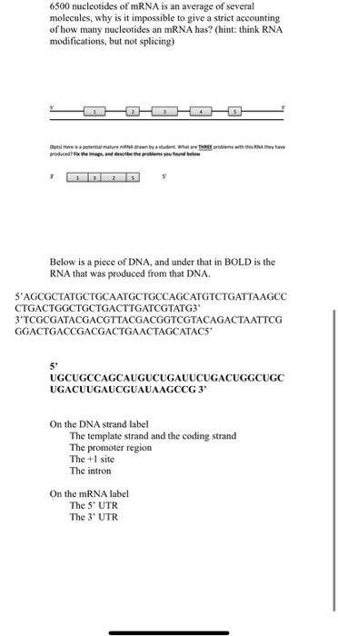 Solved Draw CDP Take your original drawing of dCDP and add | Chegg.com